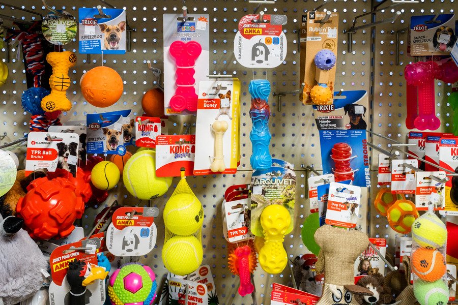 Jouets pour chien dans notre animalerie à Blagnac - Nos produits