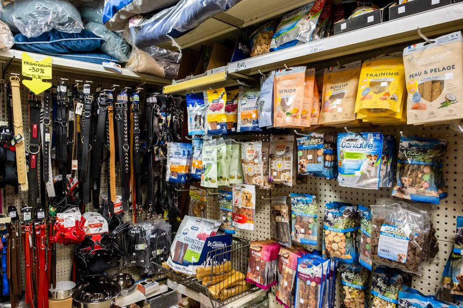 Animalerie pour chien à Blagnac - Découvrez nos produits
