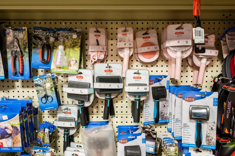 Hygiène du chien - Les produits de notre animalerie à Blagnac