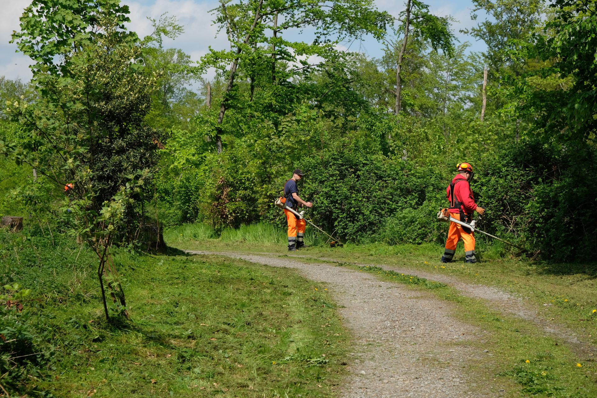 Débroussaillage de jardins à Morestel - Devis gratuit