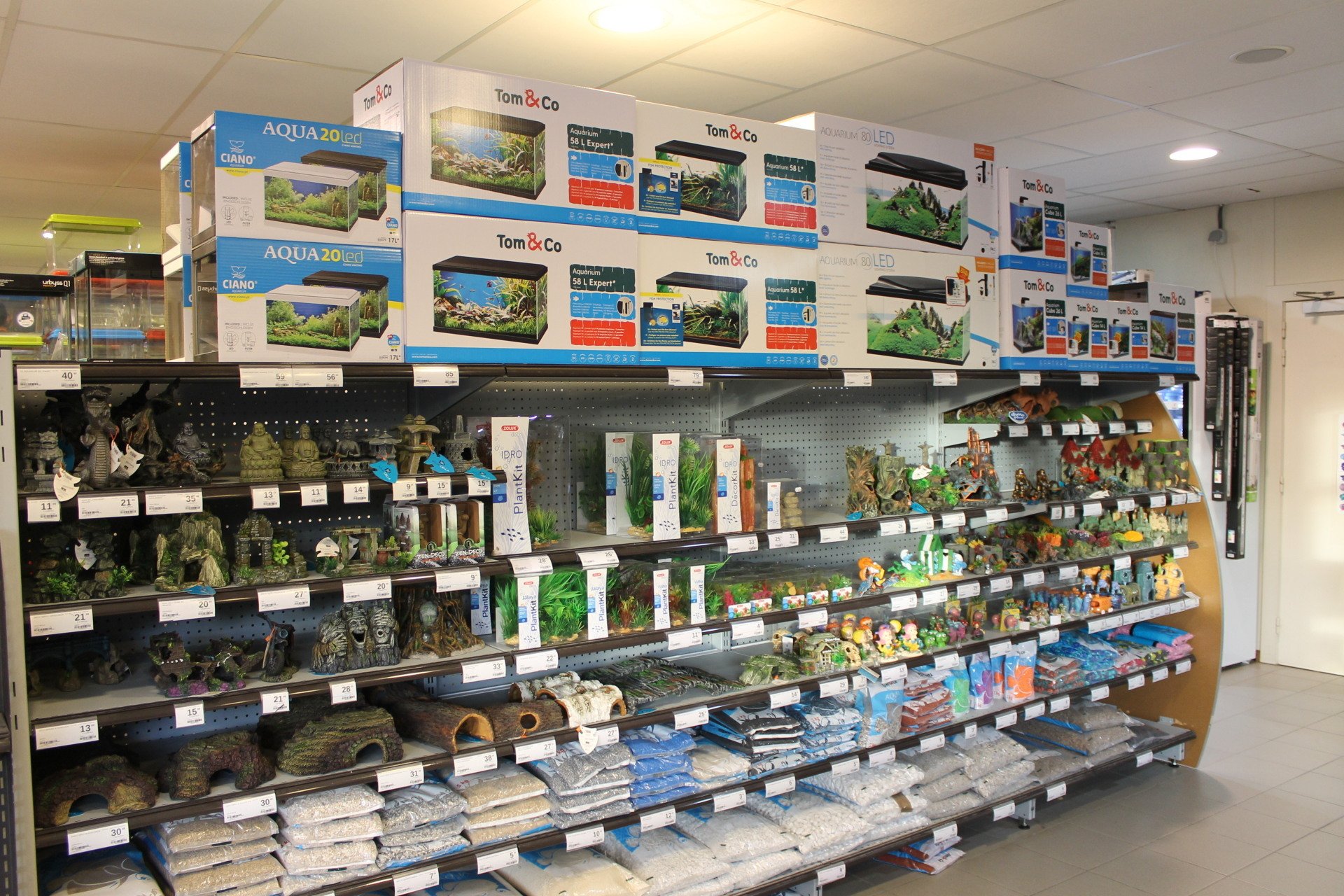 Tom & Co Aalst - Dierenwinkel