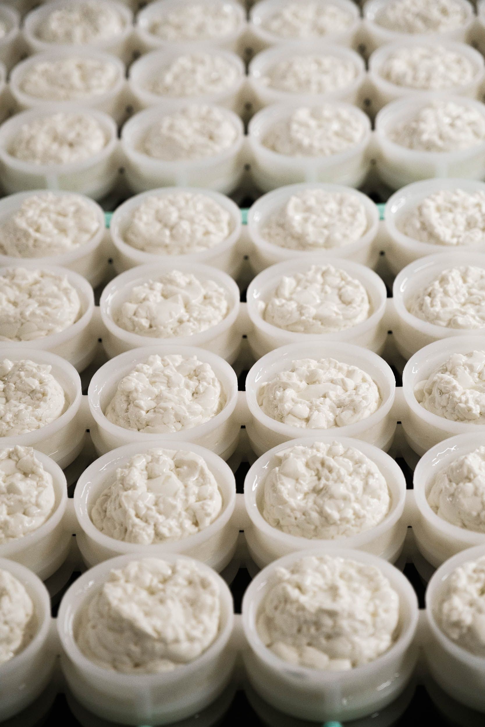 Fabrication fromage Banon AOP à Banon : fabrication artisanale