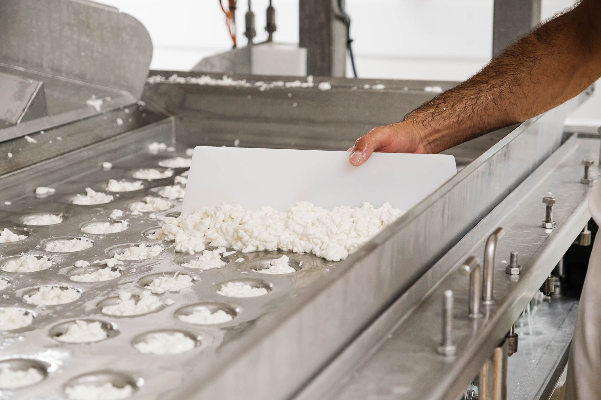 Fabrication fromage Banon AOP à Banon : fabrication artisanale