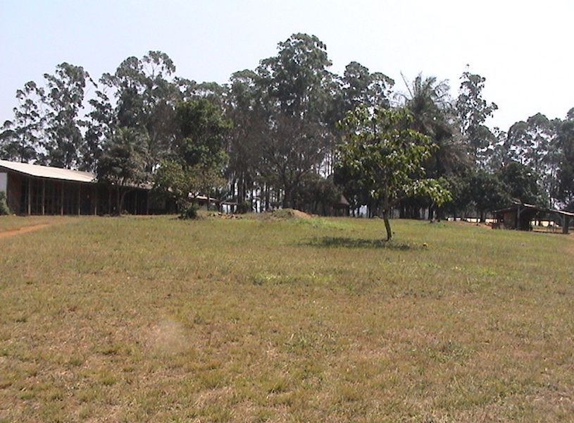 Ökologische Bauprojekte | Therwil | degen hettenbach & partner