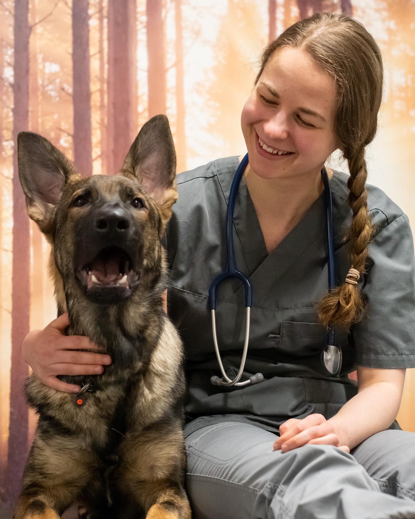 eläinlääkäri, pieneläinhoitaja | Espoo | Alfapet Eläinlääkärit