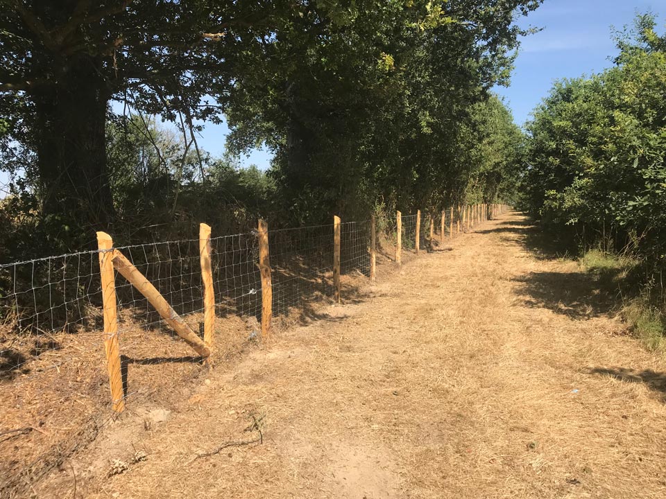 Aménagement extérieur : création de cour, enrochement à Mayenne