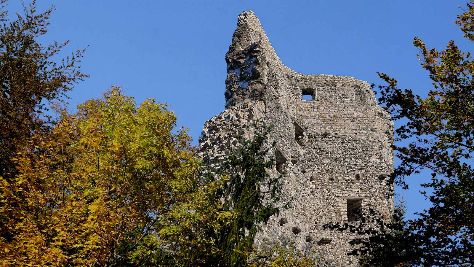 burgruinen - rinifoto