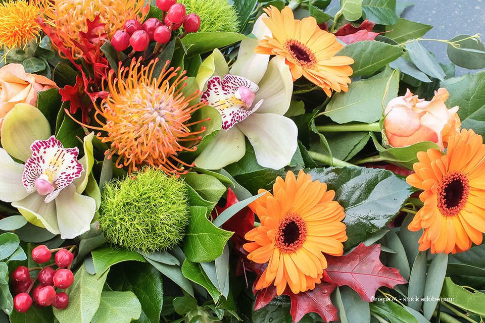 Gartenarbeit | Dresden | Gartenbau Torsten Bunk