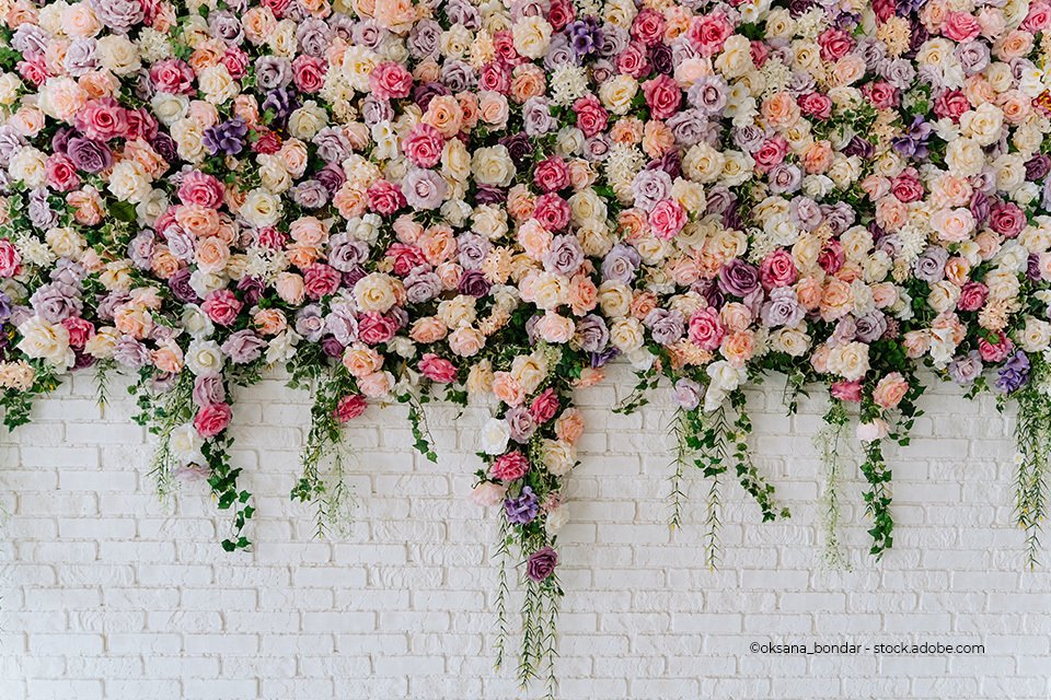 Gartenarbeit | Dresden | Gartenbau Torsten Bunk