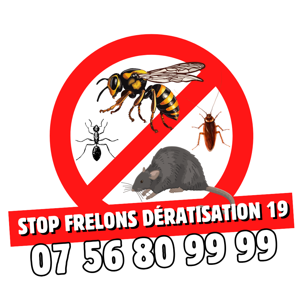 Protection vie privée - STOP Frelons Dératisation 19 à Brive
